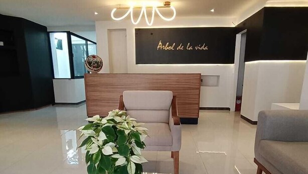 Um lobby moderno com uma mesa de recepção, um vaso de planta e uma área de estar.