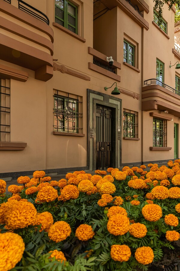 Casa Oliva - Mexico City