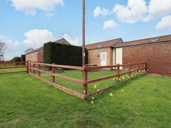 Puffin - Flamborough