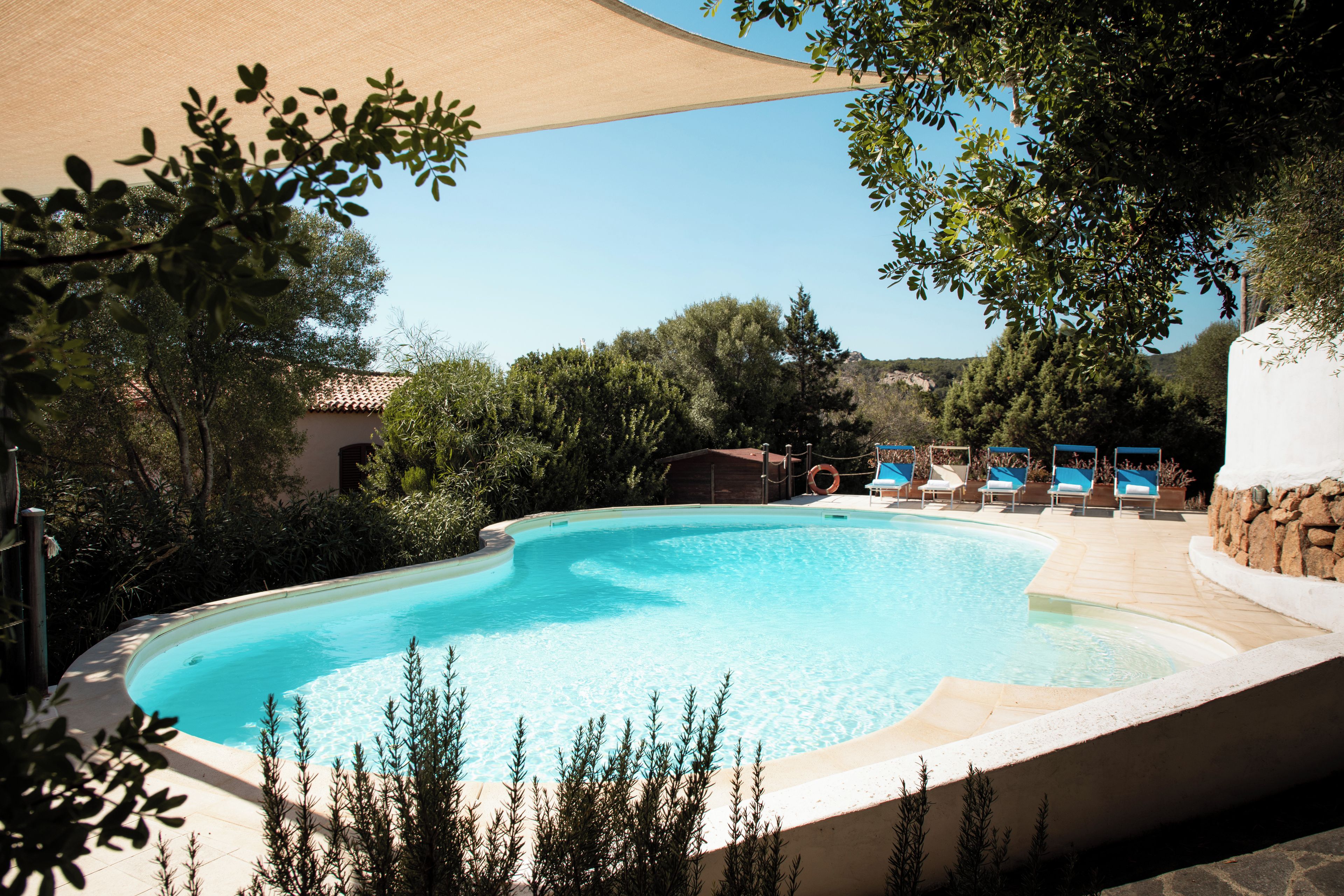 Piscina com borda curva, rodeada por vegetação e céu azul.