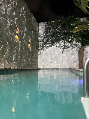 Piscina com muro de pedra e uma árvore.