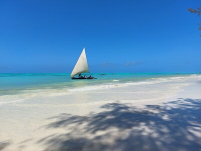 Stonefish Inn Jambiani 