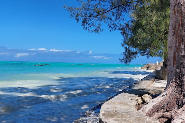 Perto da praia, praia de areia branca, mergulho, snorkel