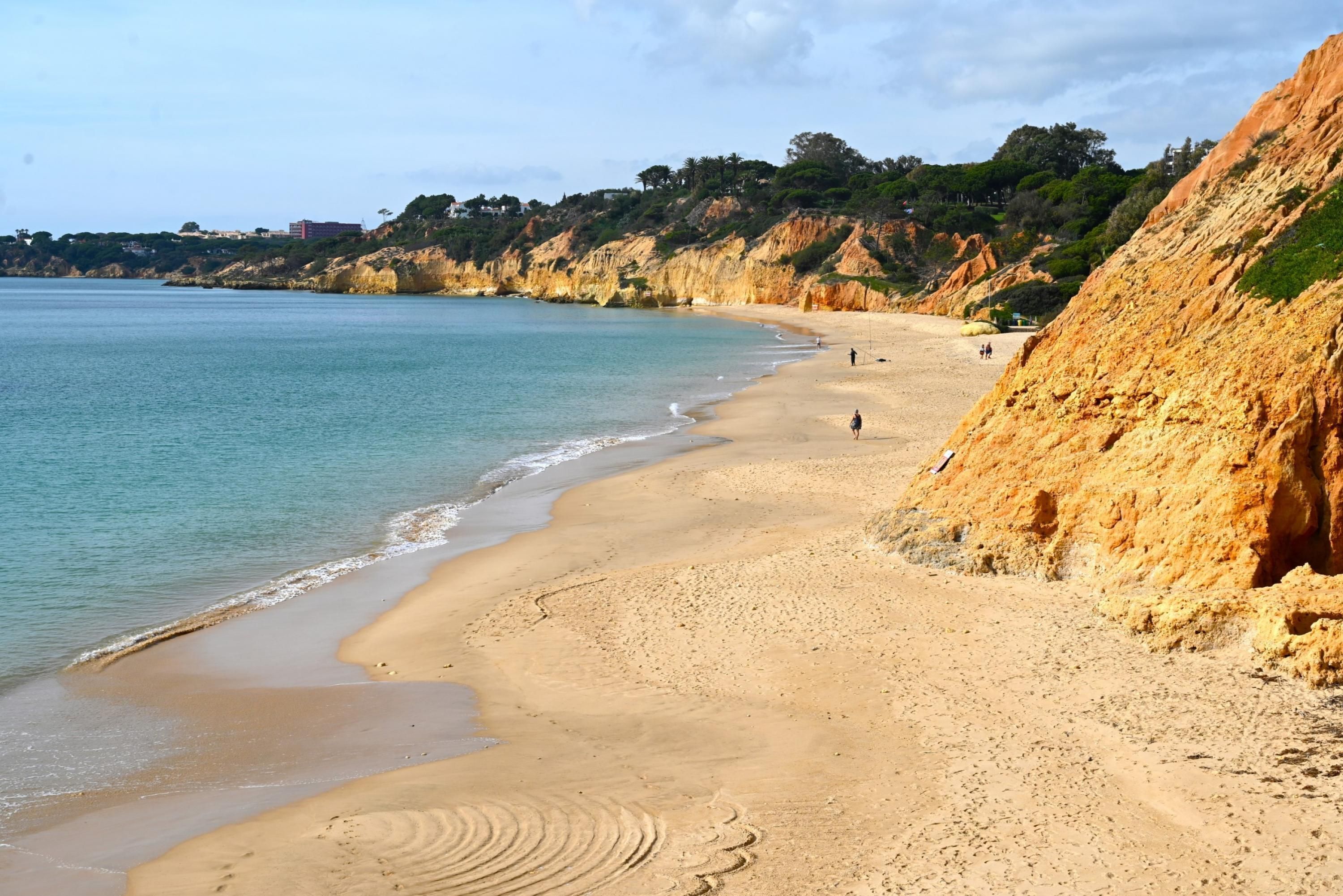 Apartamento | 2 quartos 