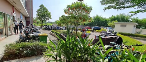 Jardim