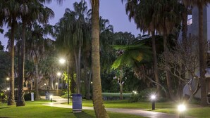 Um caminho bem iluminado com palmeiras, uma placa de sinalização e um edifício ao fundo.