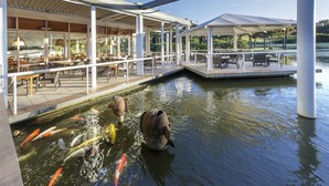 Restaurante com área externa e mesas com vista para um lago de carpas.