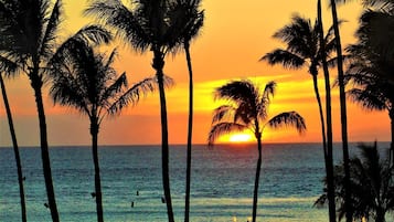 Condo (1 Bedroom) | Fachada da propriedade