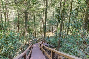 Casa (2 Bedrooms) | Interior