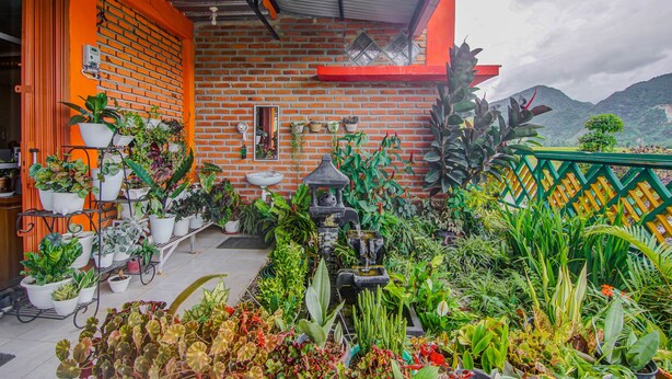 Um jardim no terraço com diversas plantas em vasos e um elemento de água.
