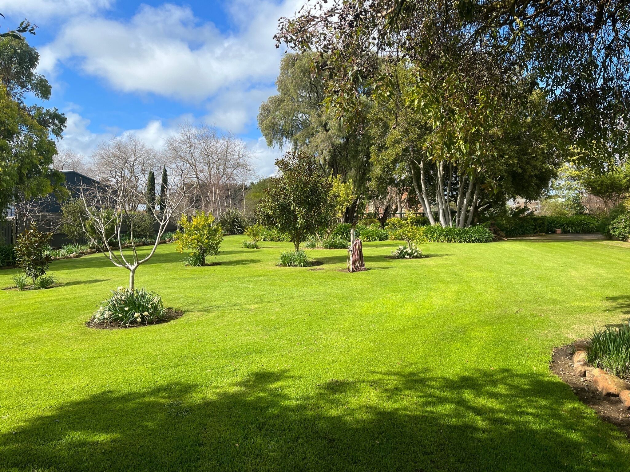 Um jardim bem cuidado, com diversas árvores e arbustos, céu claro e gramado.