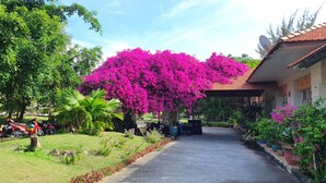 Um caminho leva a um edifício com telhado de azulejos, rodeado por vegetação exuberante e vibrantes flores de buganvillea rosa.