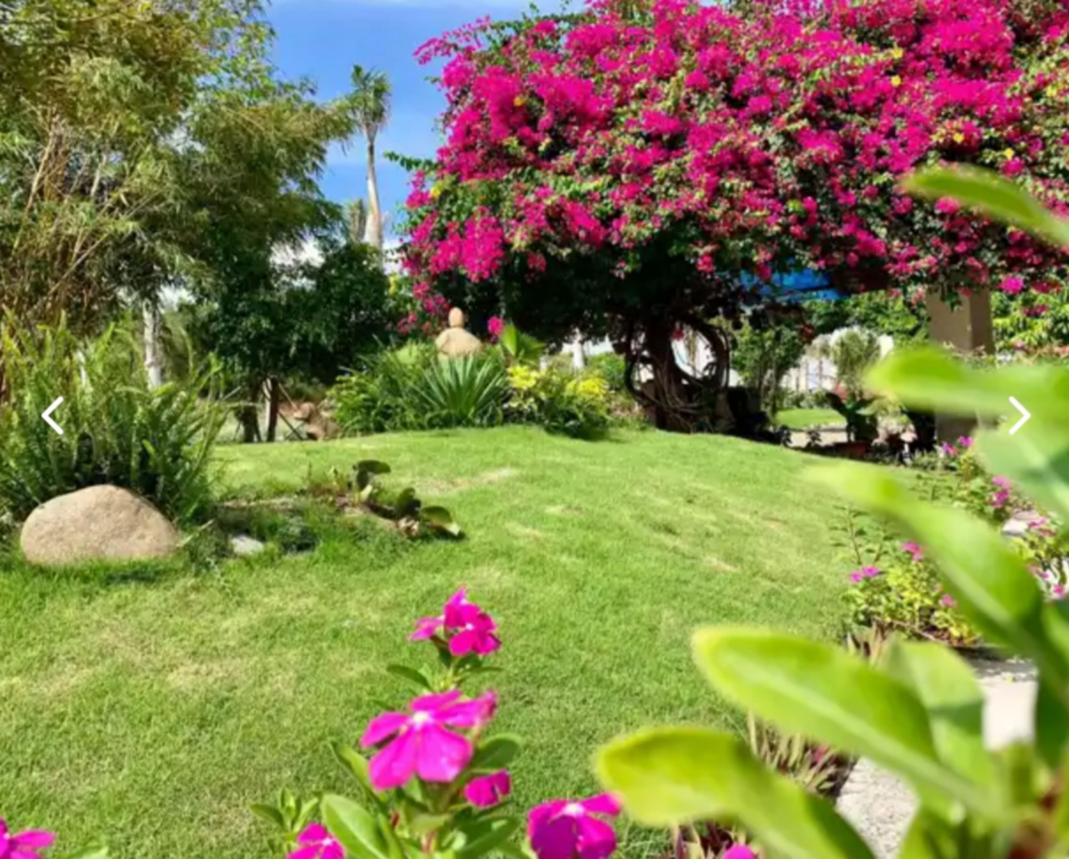 Jardim