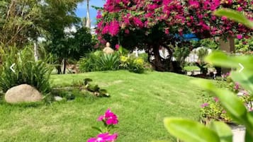 Jardim