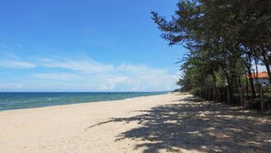 Uma praia arenosa com águas azul-claras e uma fileira de árvores à direita.