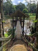 Uma ponte de madeira que leva a um pequeno pavilhão em um ambiente natural.