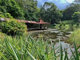 Um pavilhão de madeira rústico com telhado de palha sobre um lago, rodeado por vegetação exuberante e árvores.