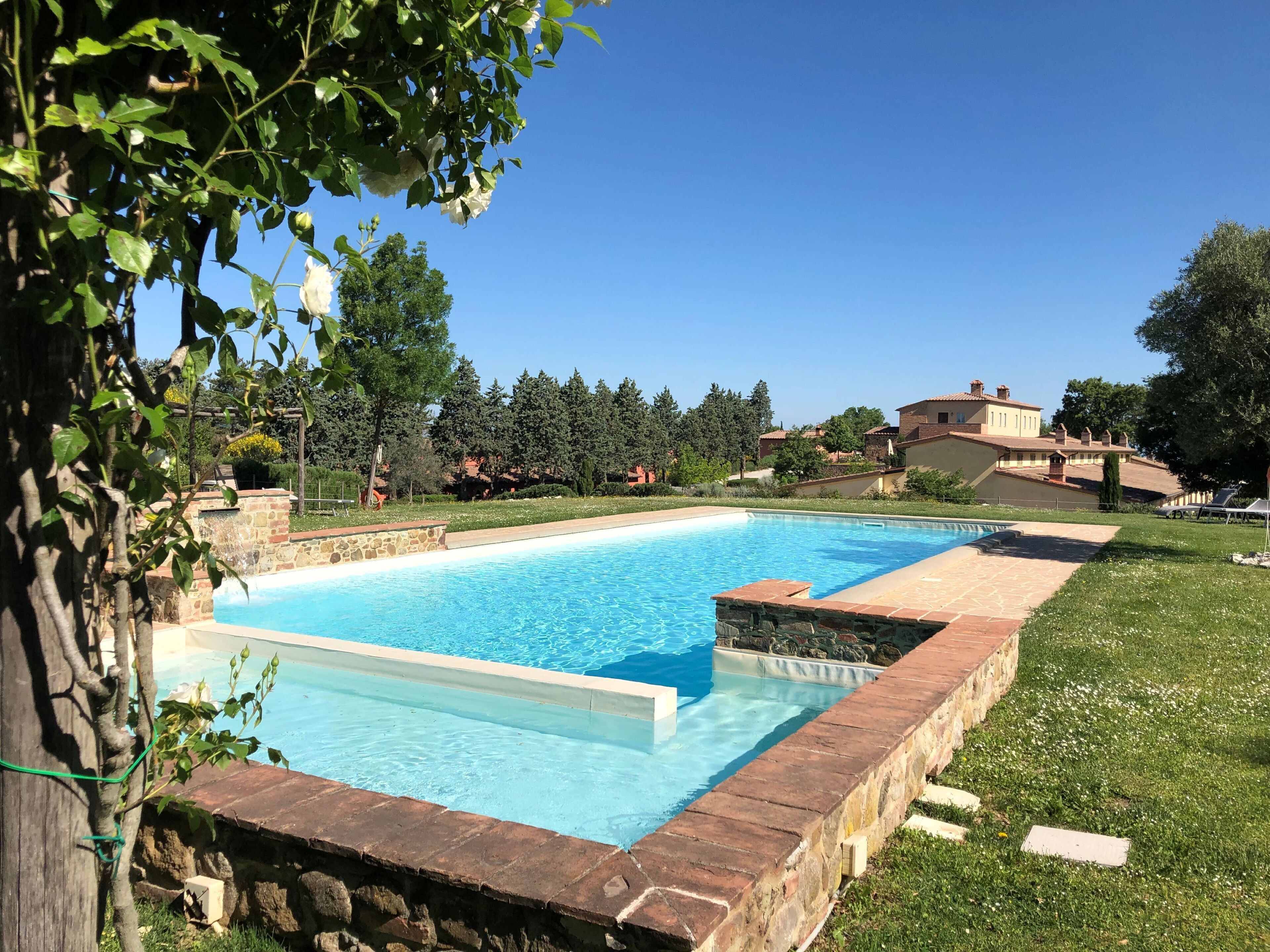 Piscina retangular com bordas de pedra, rodeada por gramado e árvores.