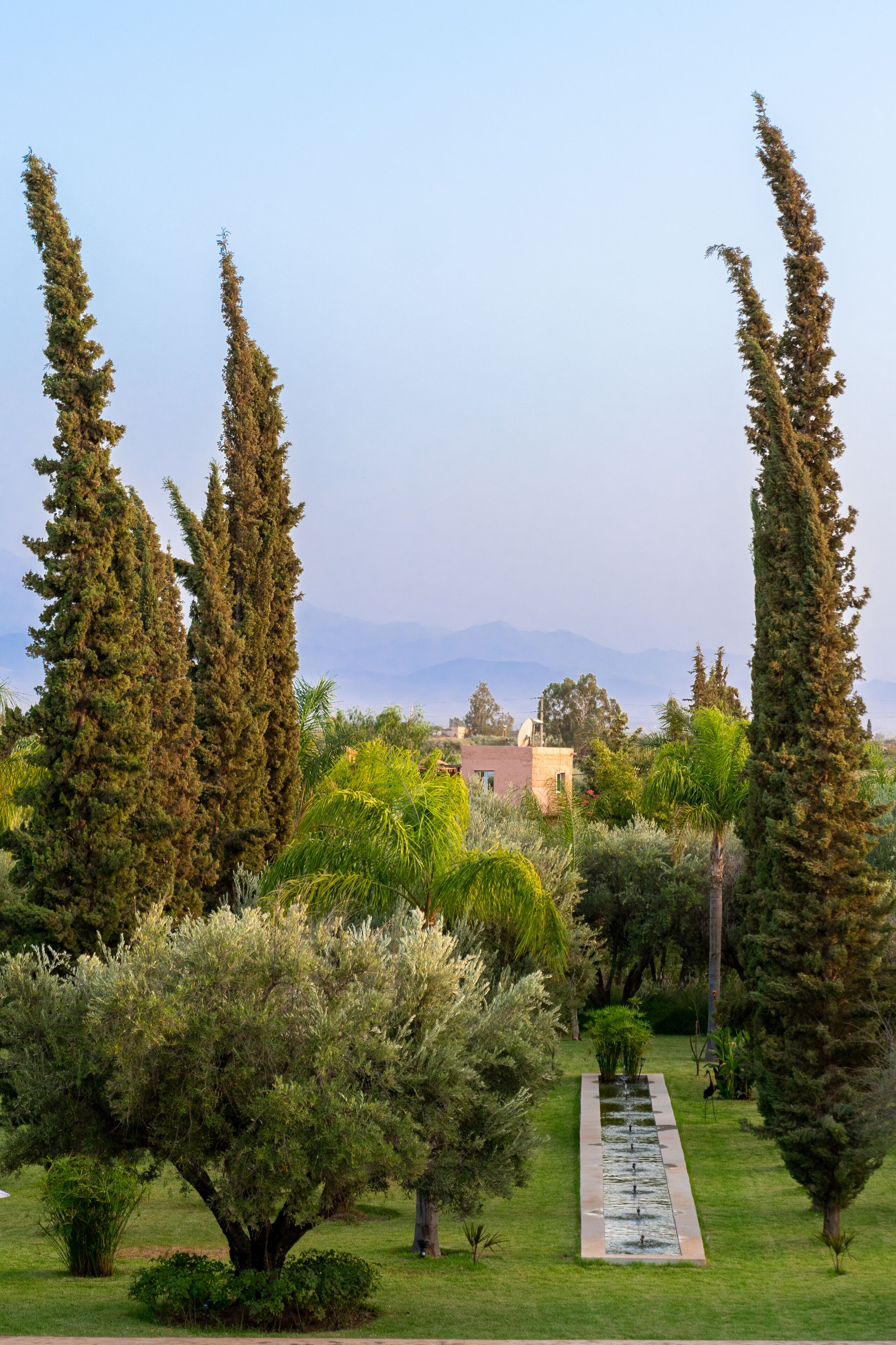 Um jardim com altas árvores cipreste, um elemento aquático e um edifício ao fundo.