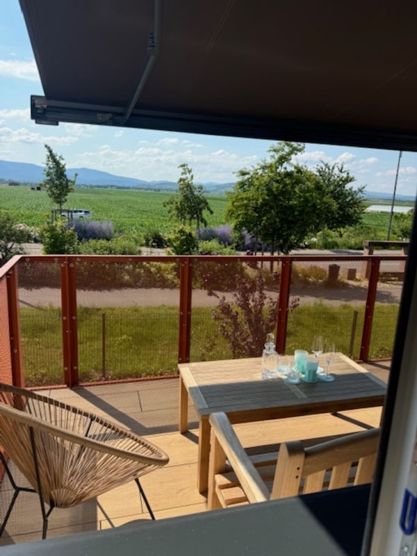 A 8 Minutes D'obernai : Appartement 4* (Ascenseur, Terrasse Et Parking Privatif) - Erstein