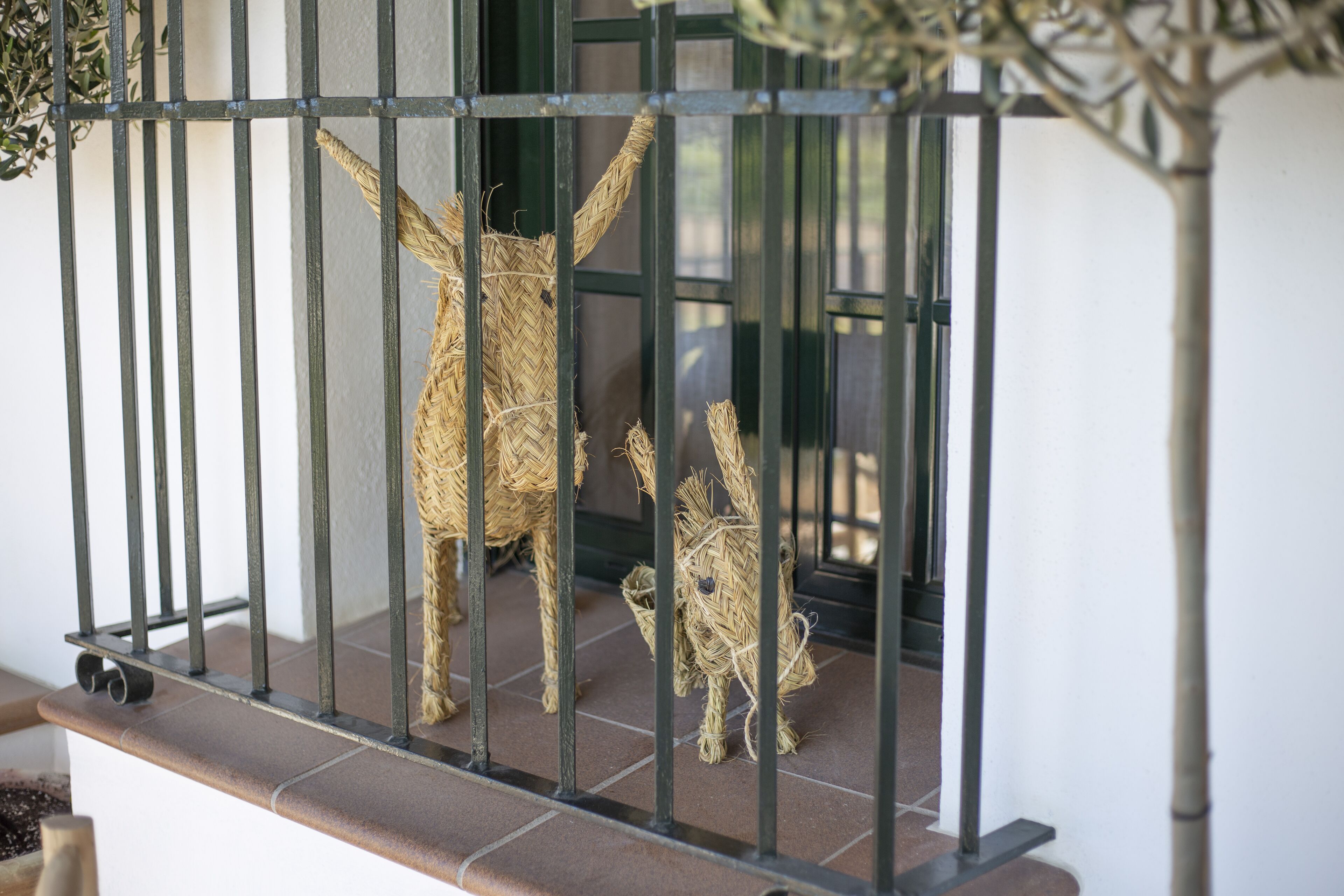 Varanda com grade de ferro forjado e um pequeno jardim com um cesto decorativo e uma planta.