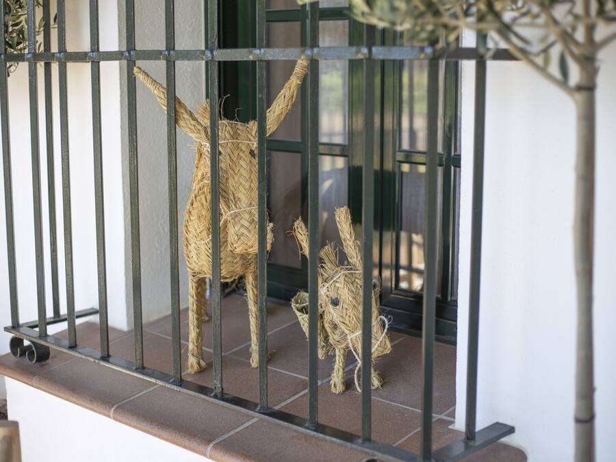 Varanda com grade de ferro forjado e um pequeno jardim com um cesto decorativo e uma planta.