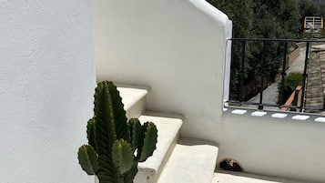 Terraço/pátio