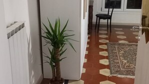 Um corredor com planta em vaso, uma cadeira, tapete estampado e porta de vidro deslizante que dá para uma varanda.