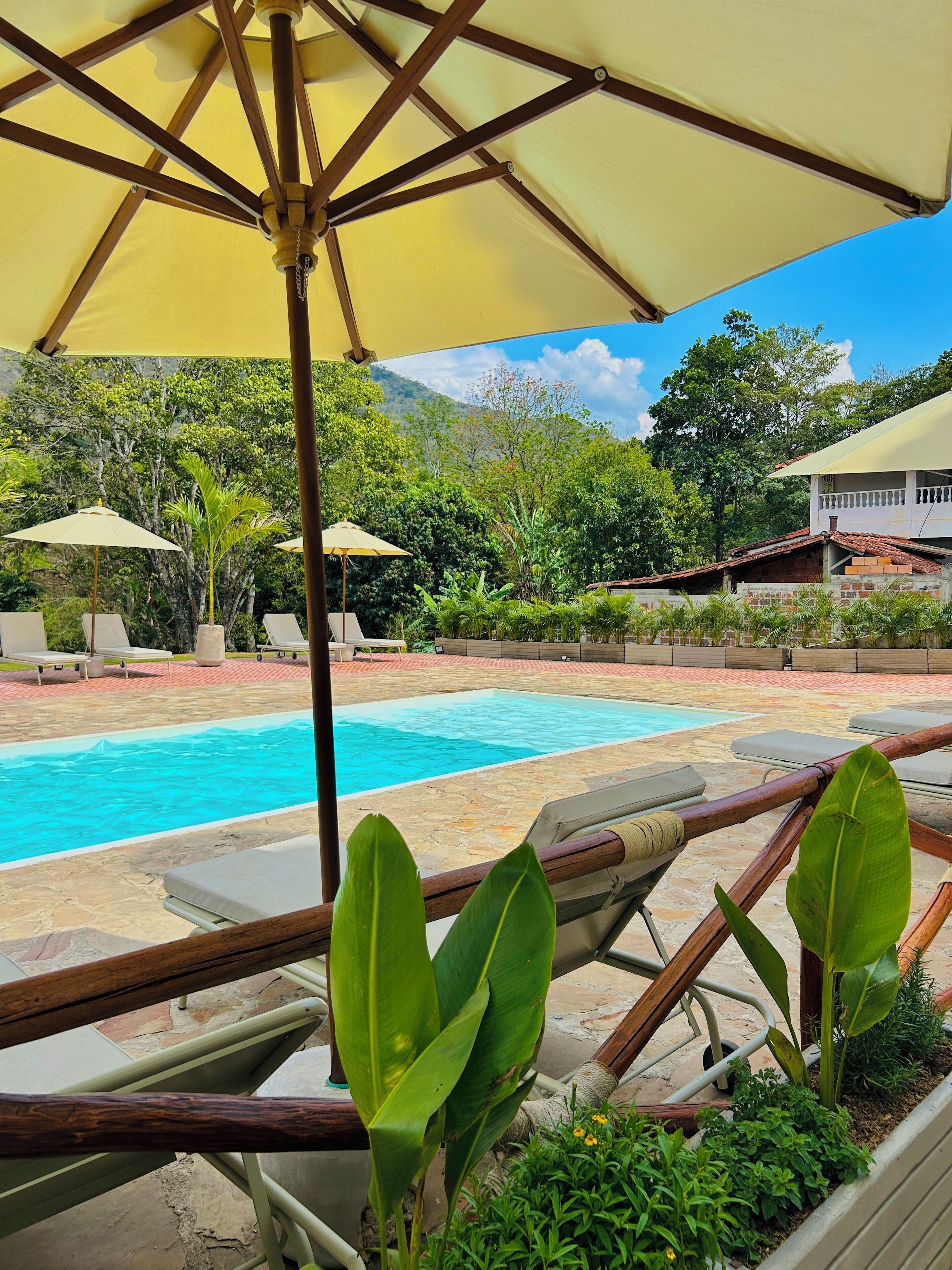 Uma área junto à piscina com espreguiçadeiras e guarda-sóis, rodeada por vegetação exuberante e com montanhas ao fundo.
