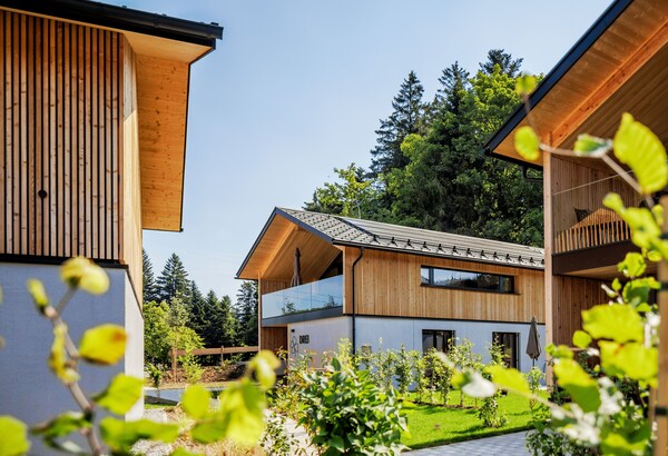 Pfänder Glück - Allgäu