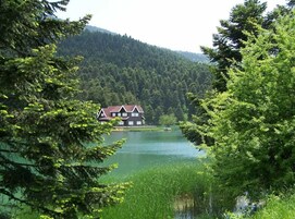 Uma cabana à beira de um lago com telhado vermelho, rodeada por uma floresta densa e um lago límpido.