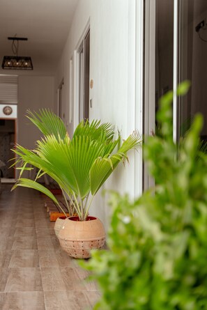 Um corredor com uma planta em vaso, uma porta e um luminário.