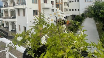 Jardim