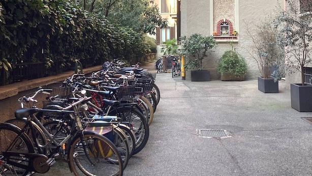 Uma fileira de bicicletas estacionadas numa rua estreita, entre edifícios com varandas e um pequeno jardim com plantas em vasos.