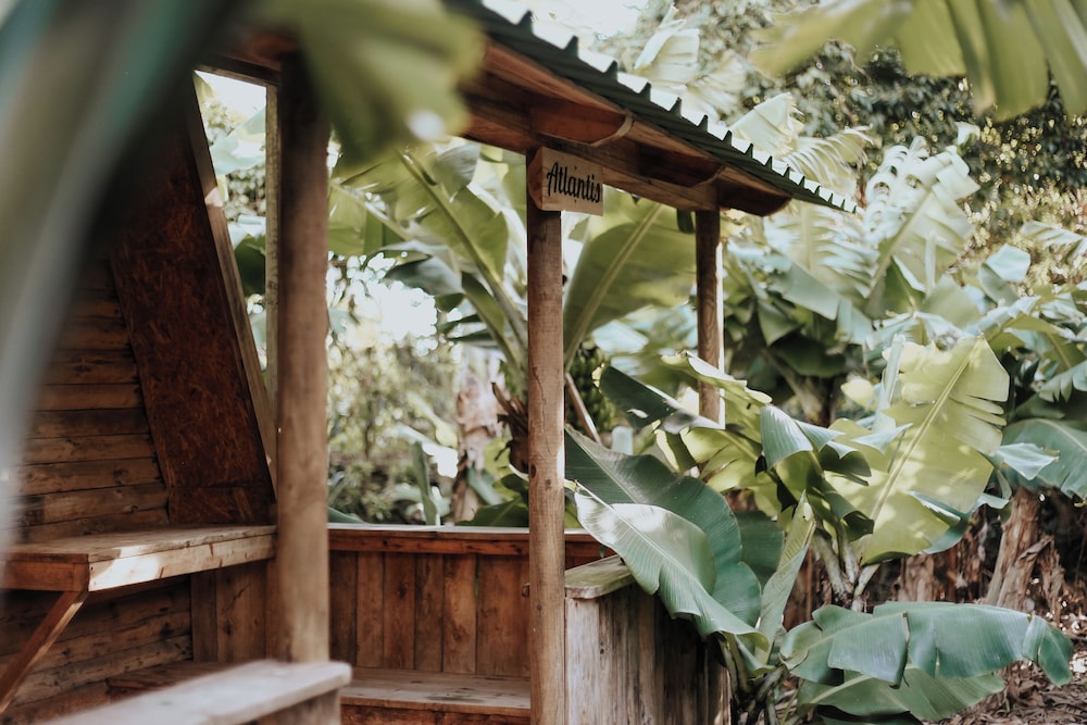 Banana Eco Camp - Açores