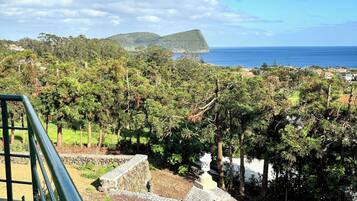 Paisagem costeira com um caminho de pedra, vegetação exuberante e vista para o mar e colinas ao longe.