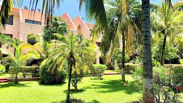Jardim