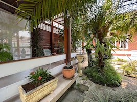 Uma área externa coberta com plantas em vasos, um banco e uma estrutura de madeira.
