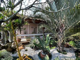 Um jardim com diversas plantas em vasos e uma casa ao fundo.