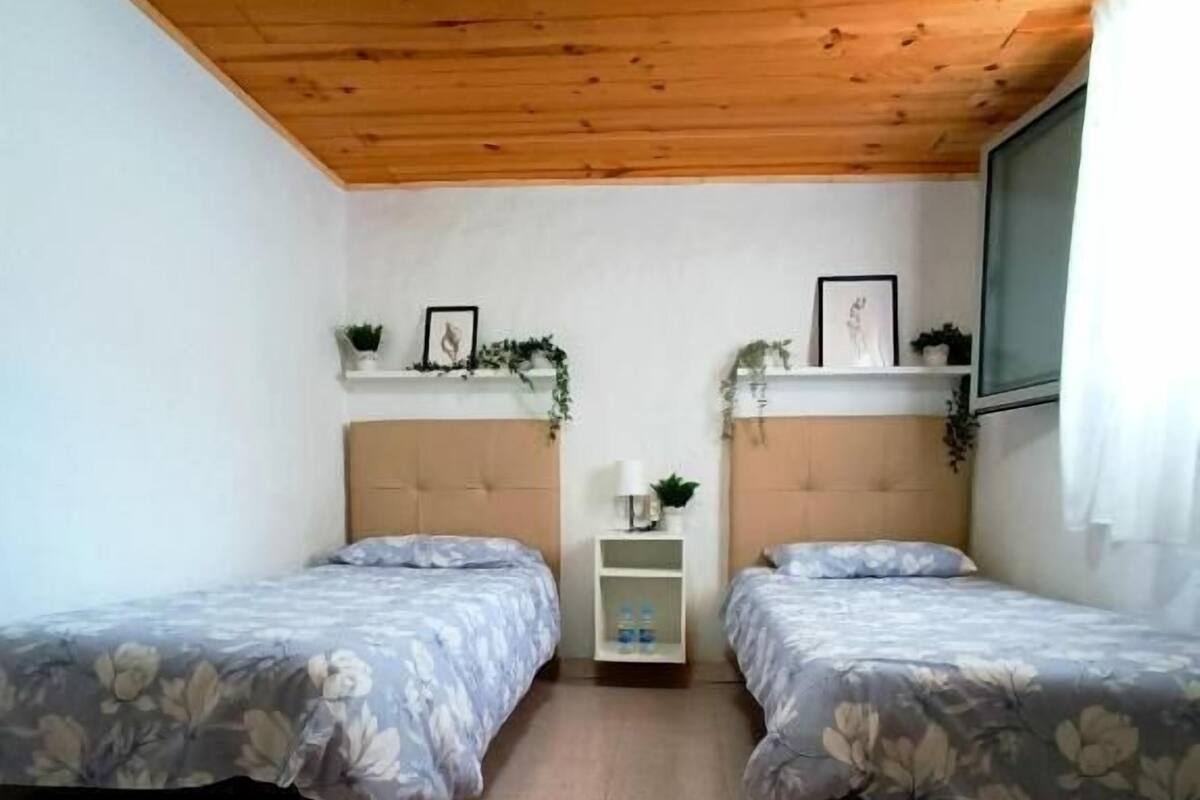 Quarto com duas camas, uma mesa pequena e uma estante com plantas.