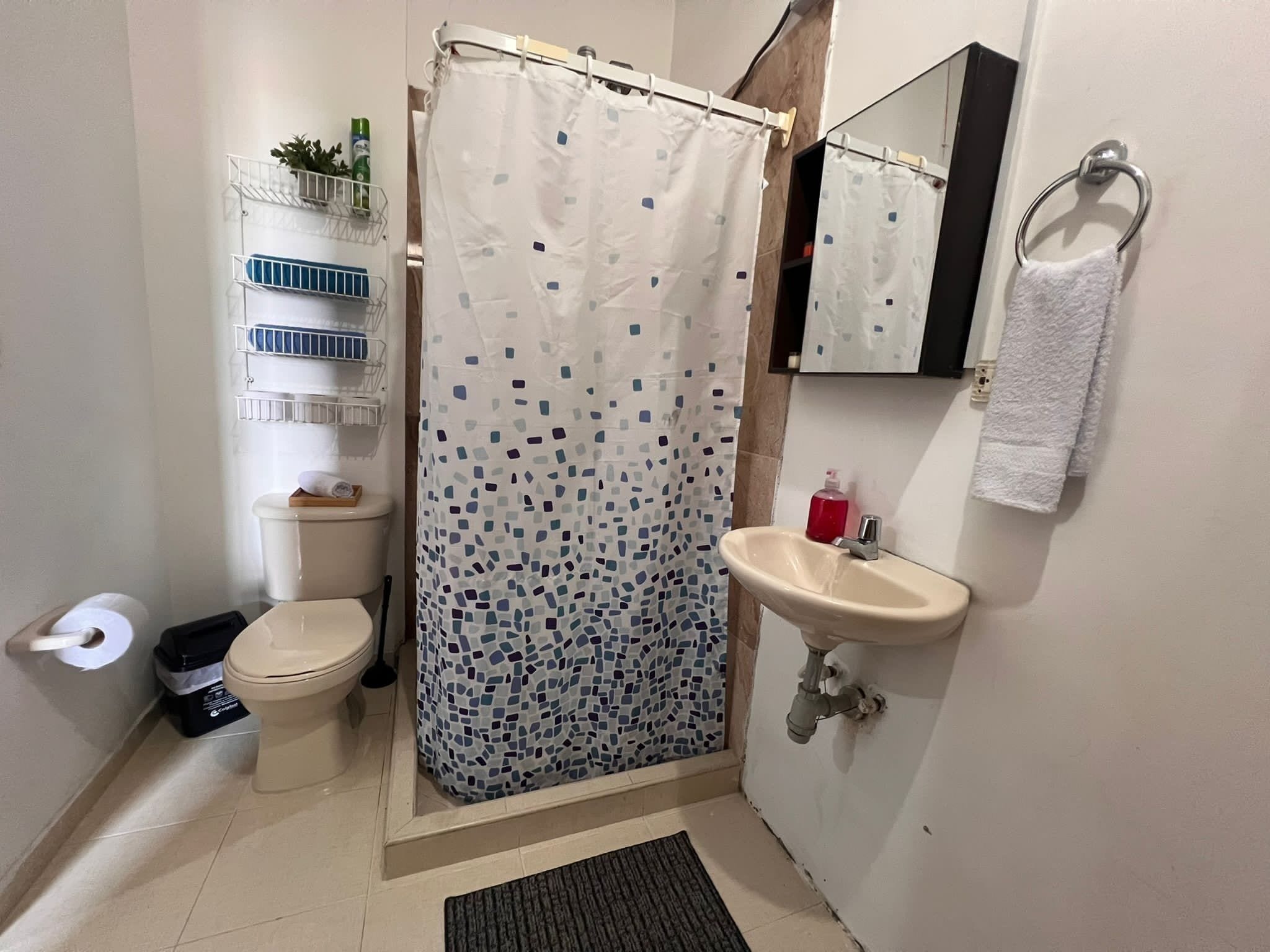 Casa de banho com sanita, lavatório, cortina de chuveiro, espelho e porta-toalhas.
