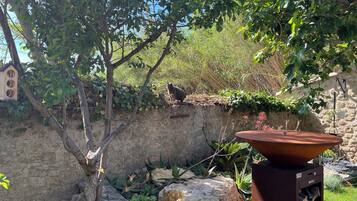 Um jardim com um comedouro de pássaros, uma parede de pedra e um aquecedor de exterior rústico.