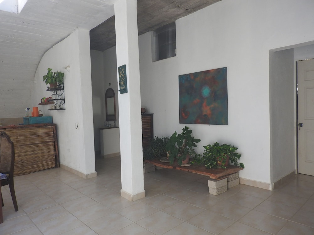 Enjoy The Jungle And The Ocean In Just One Trip! - Riviera Nayarit