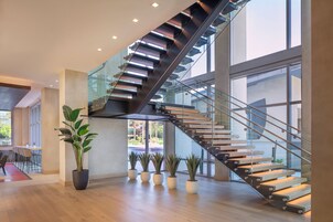 3 restaurantes, cozinha italiana 