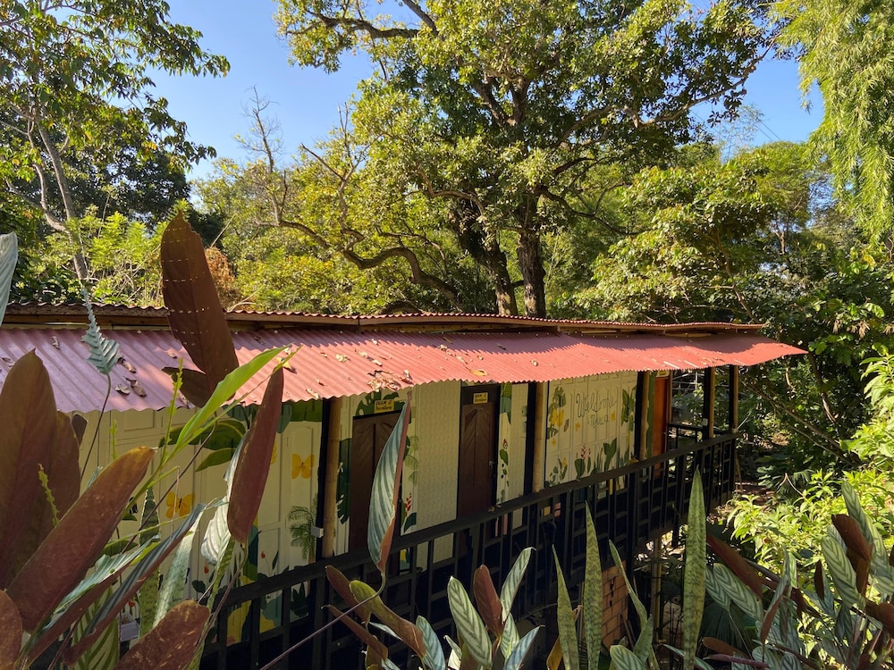 Hostal Las Mariposas Minca - Minca