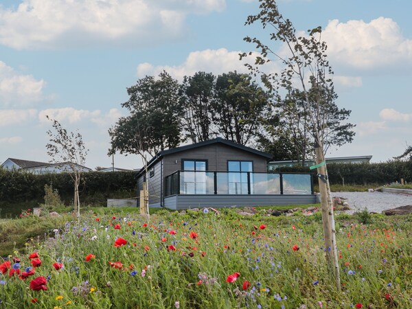 Primrose Lodge - Dartmouth