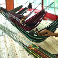 Quarto com vários redes, piso de madeira e parede vermelha.