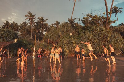 Happy hammocks - Hiriketiya Beach