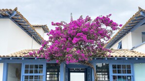 Um edifício com paredes azuis e brancas, telhado ladrilhado e um arco central com uma árvore florida.