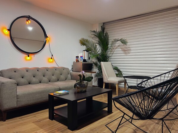 Discover Condesa - Mexico City